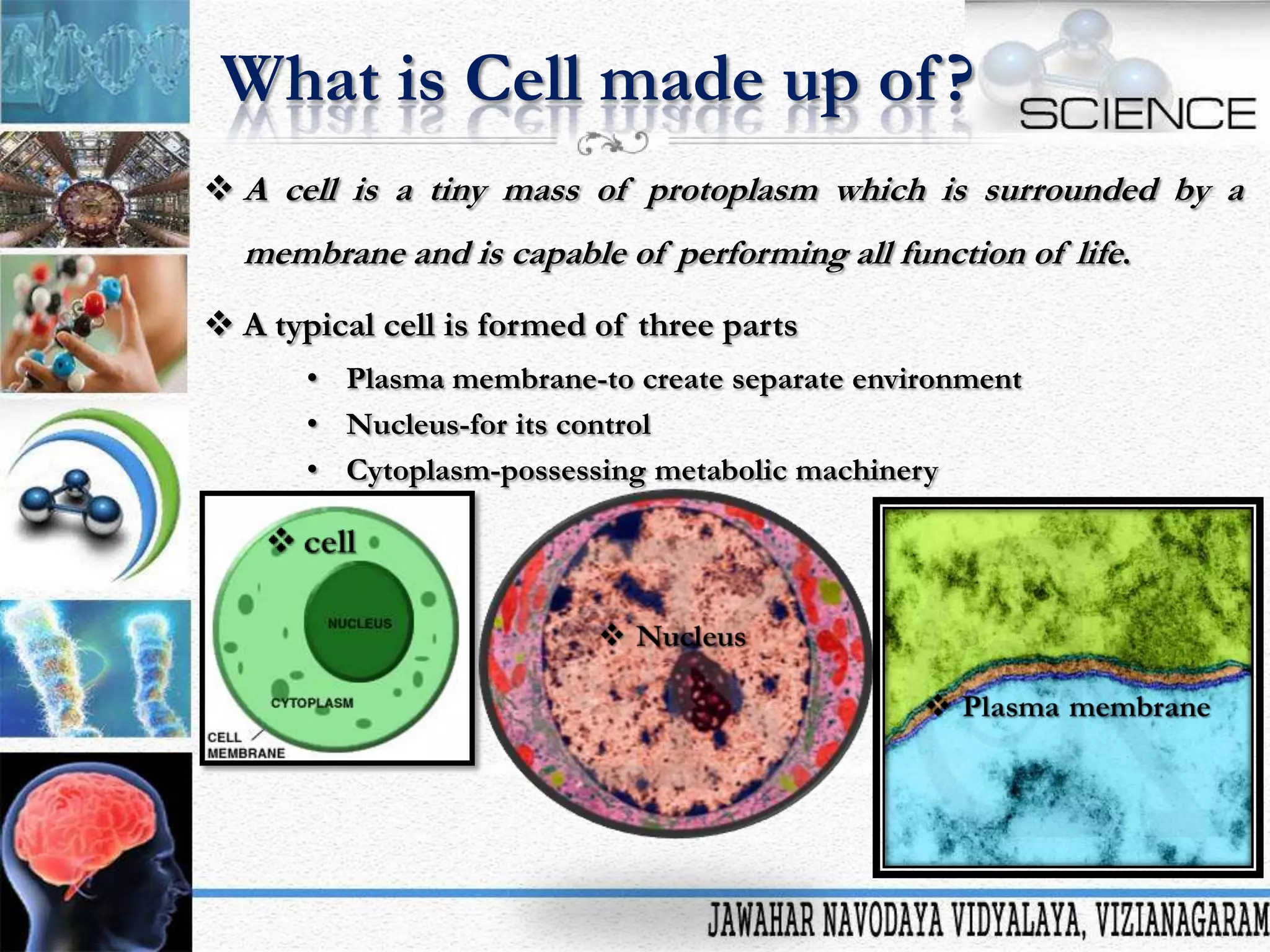 Cell is the Basic Unit of Life | PPTX