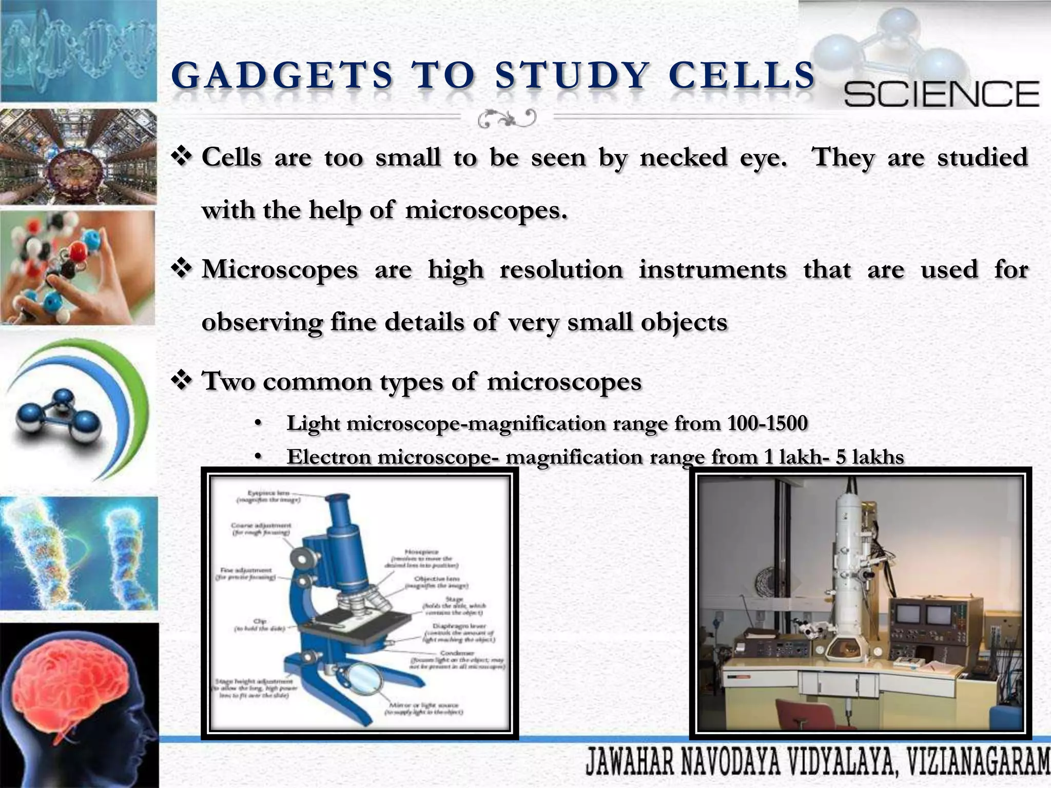 Cell is the Basic Unit of Life | PPTX