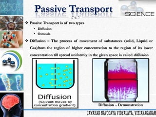 Cell is the Basic Unit of Life | PPTX