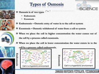 Cell is the Basic Unit of Life | PPTX
