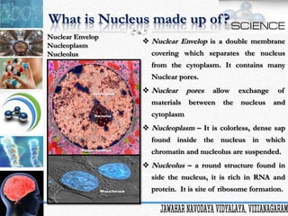 Cell is the Basic Unit of Life | PPTX
