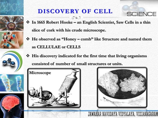Cell is the Basic Unit of Life | PPTX | Biological Sciences | Science