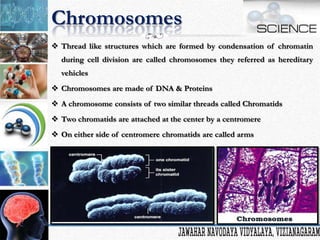 Cell is the Basic Unit of Life | PPTX
