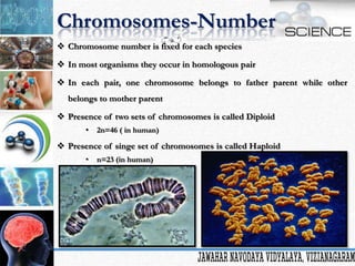 Cell is the Basic Unit of Life | PPTX
