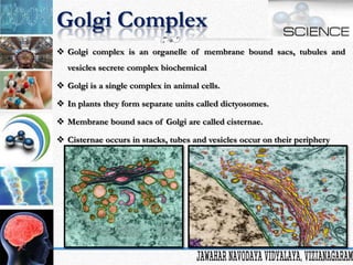 Cell is the Basic Unit of Life | PPTX