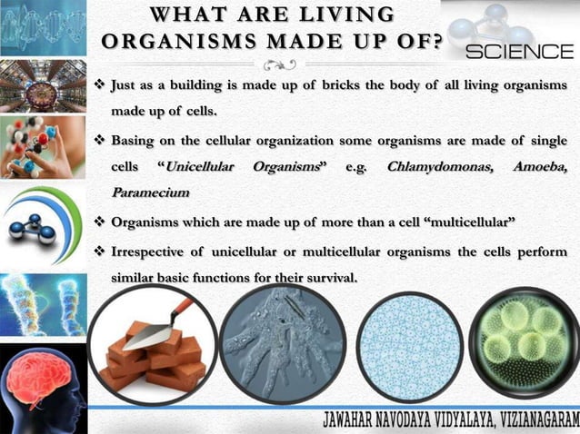 Cell is the Basic Unit of Life | PPTX | Biological Sciences | Science
