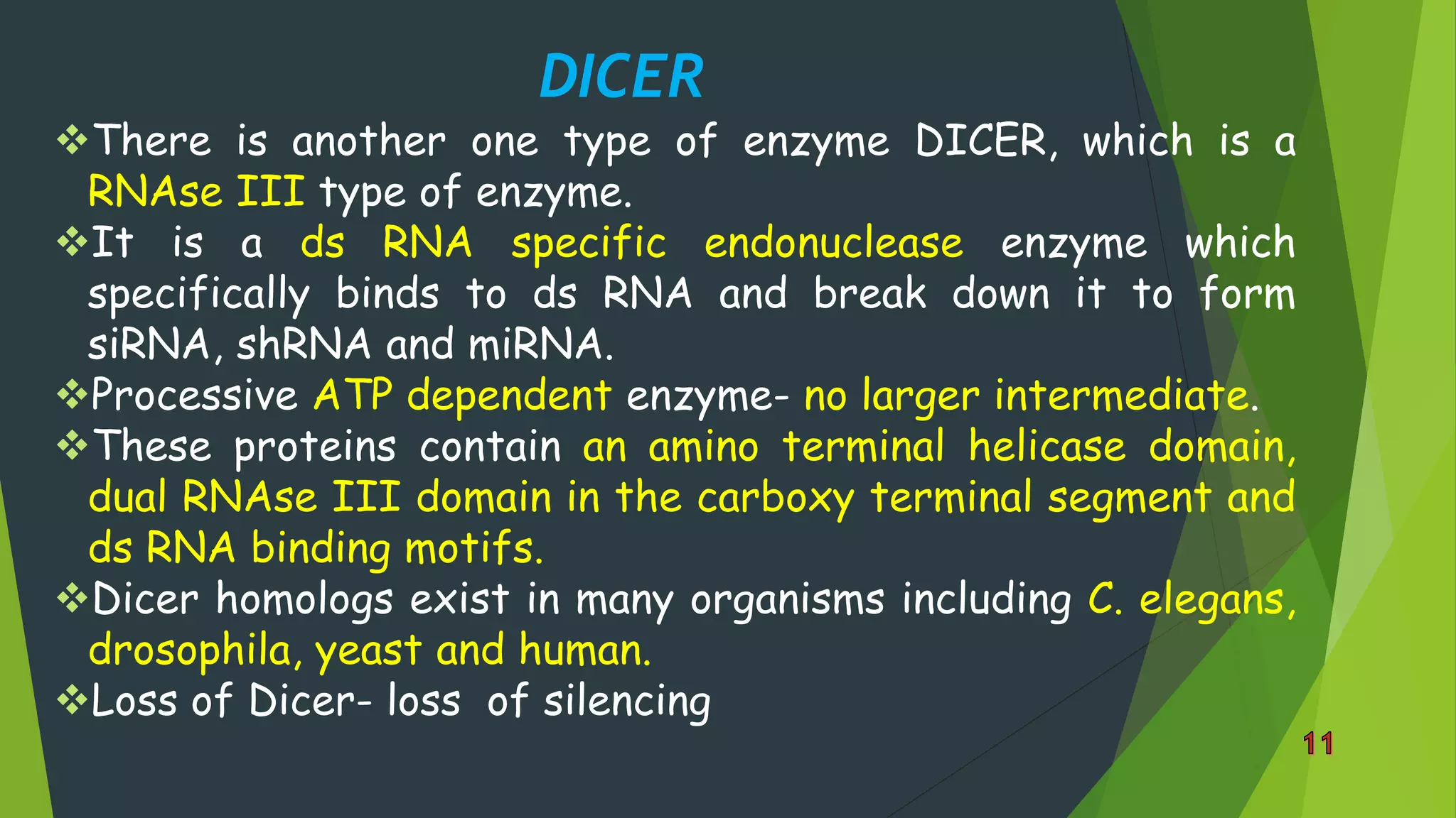 RNA Interference | PPTX