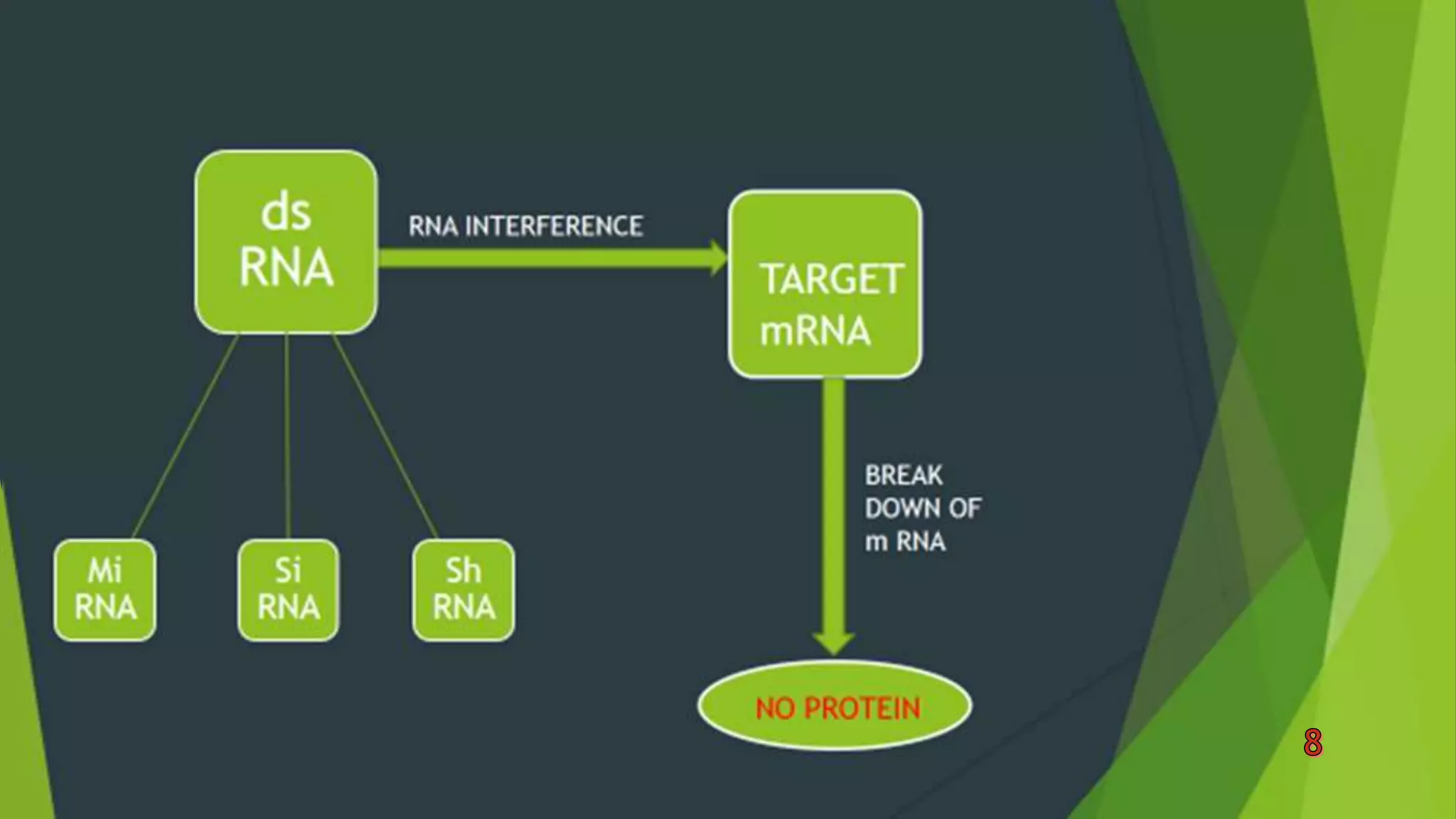 RNA Interference | PPTX