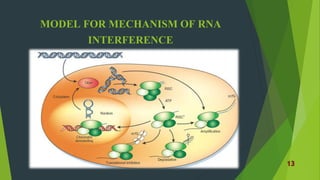 RNA Interference | PPT