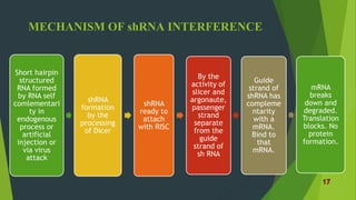 RNA Interference | PPTX