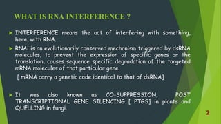 RNA Interference | PPT