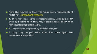 RNA Interference | PPT