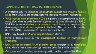 RNA Interference | PPT