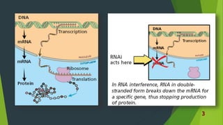 RNA Interference | PPT
