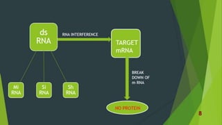 RNA Interference | PPT