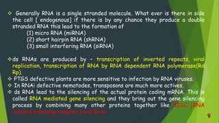 RNA Interference | PPT