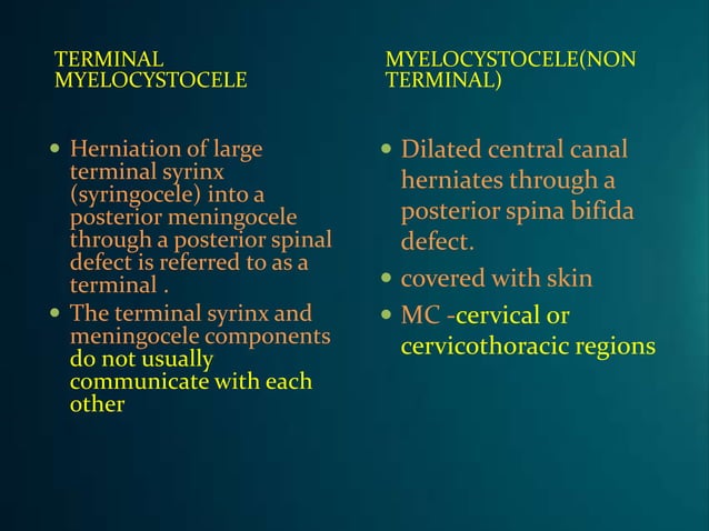 Congenital Anomalies Of Spine And Spinal Cord | PPTX | Brain and Nervous System Disorders ...