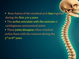 Congenital Anomalies Of Spine And Spinal Cord | PPTX