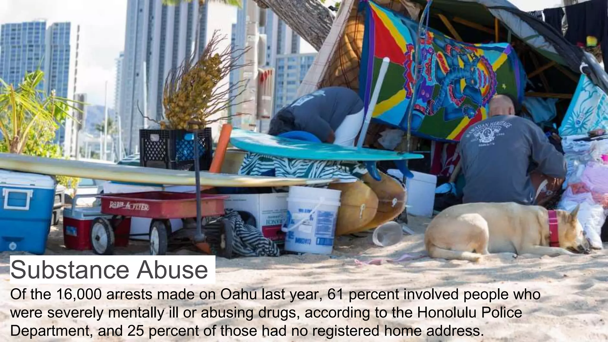 Homelessness in hawaii | PPT