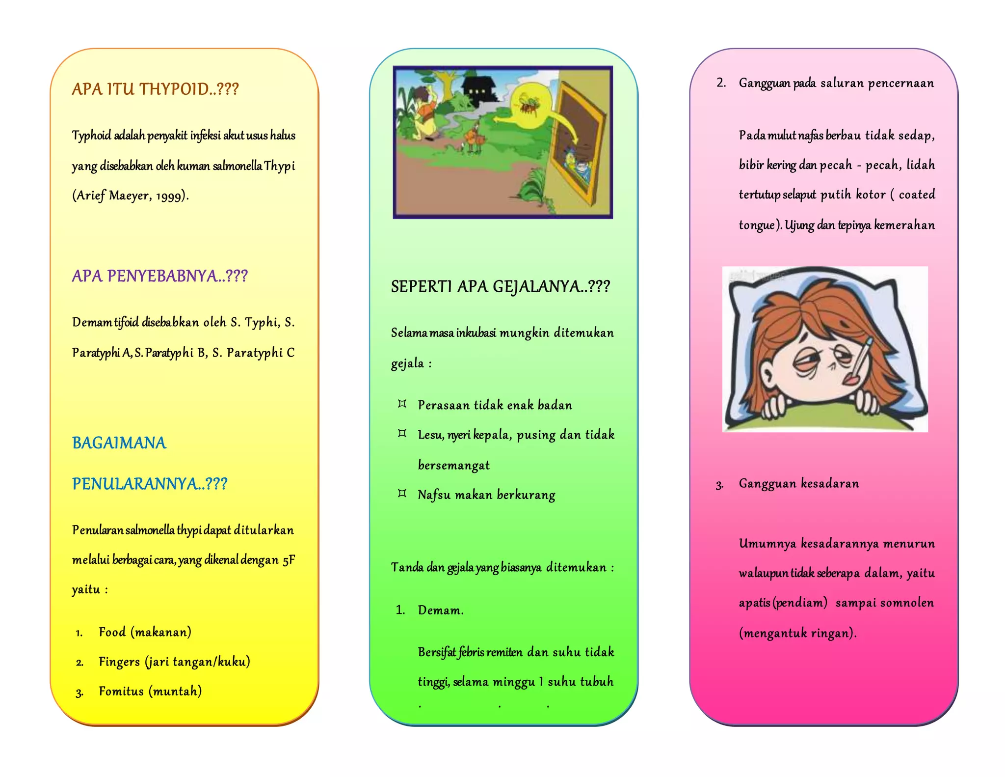 Leaflet thypoid | PPT
