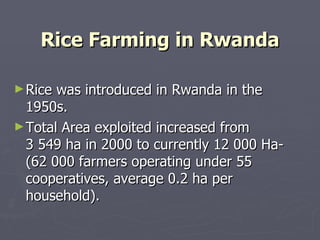 THE SYSTEM OF RICE INTENSIFICATION (SRI) IN RWANDA | PPT