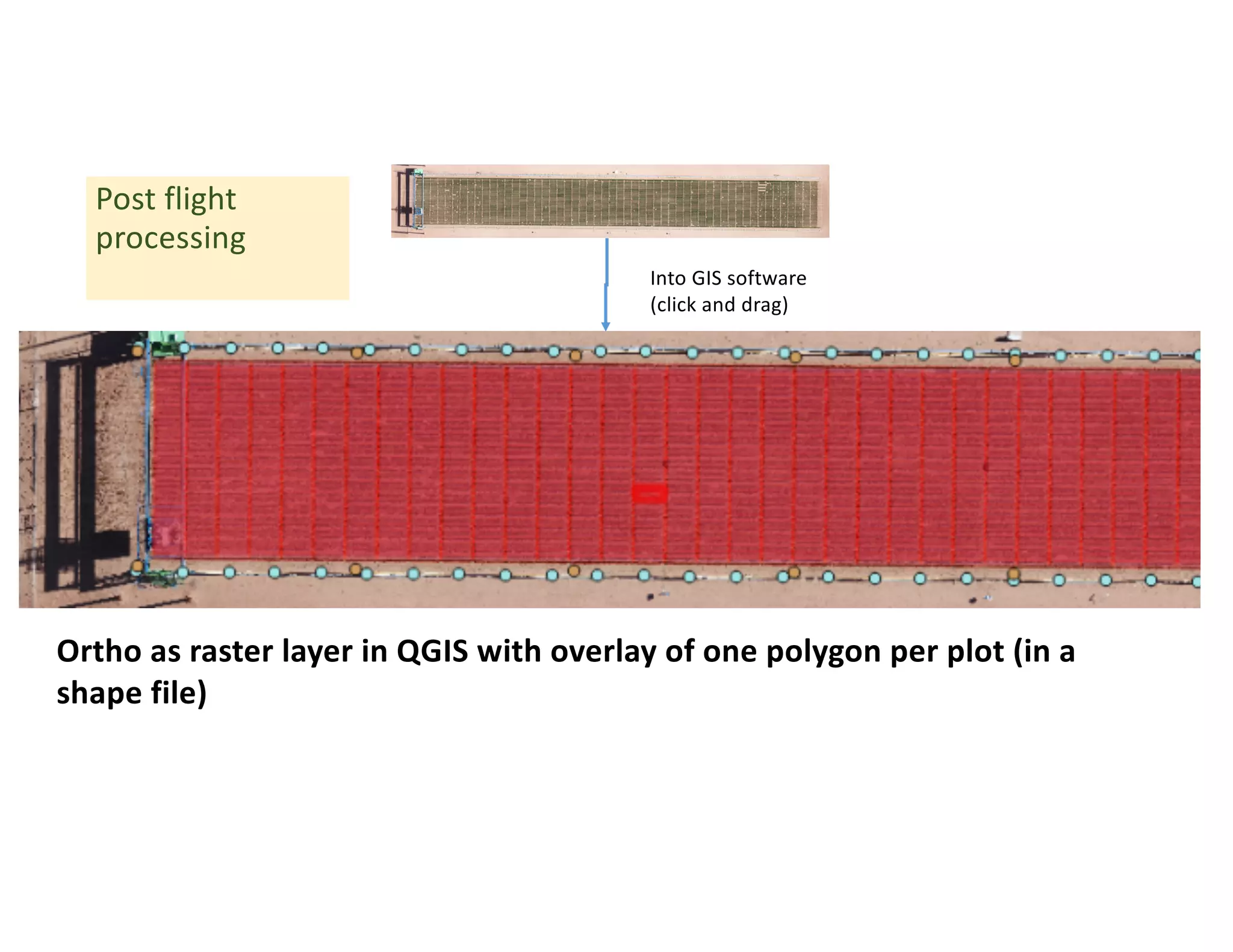UAV (and other) Phenotyping in an Arid Environment | PPT