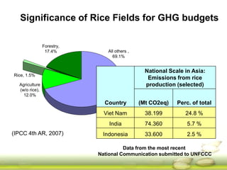Prospects of mitigation in rice fields and possible policy support ...