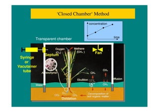 R Wassman quantification of ghg emissions from rice july 2010 | PDF