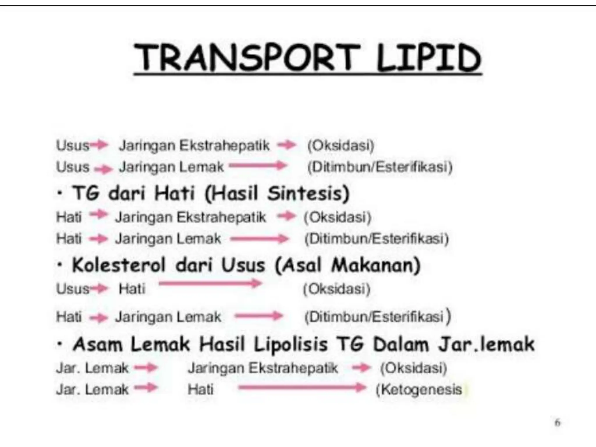METABOLISME_LIPID_KEL_5-METABOLISME_LIPID.pptx