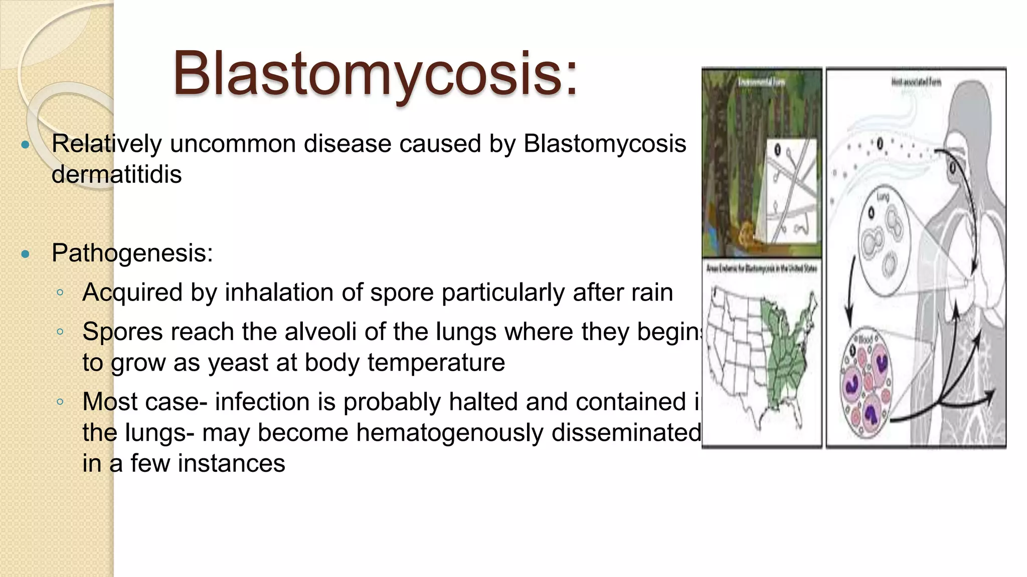 Granulomatous diseases of the head & neck | PPTX