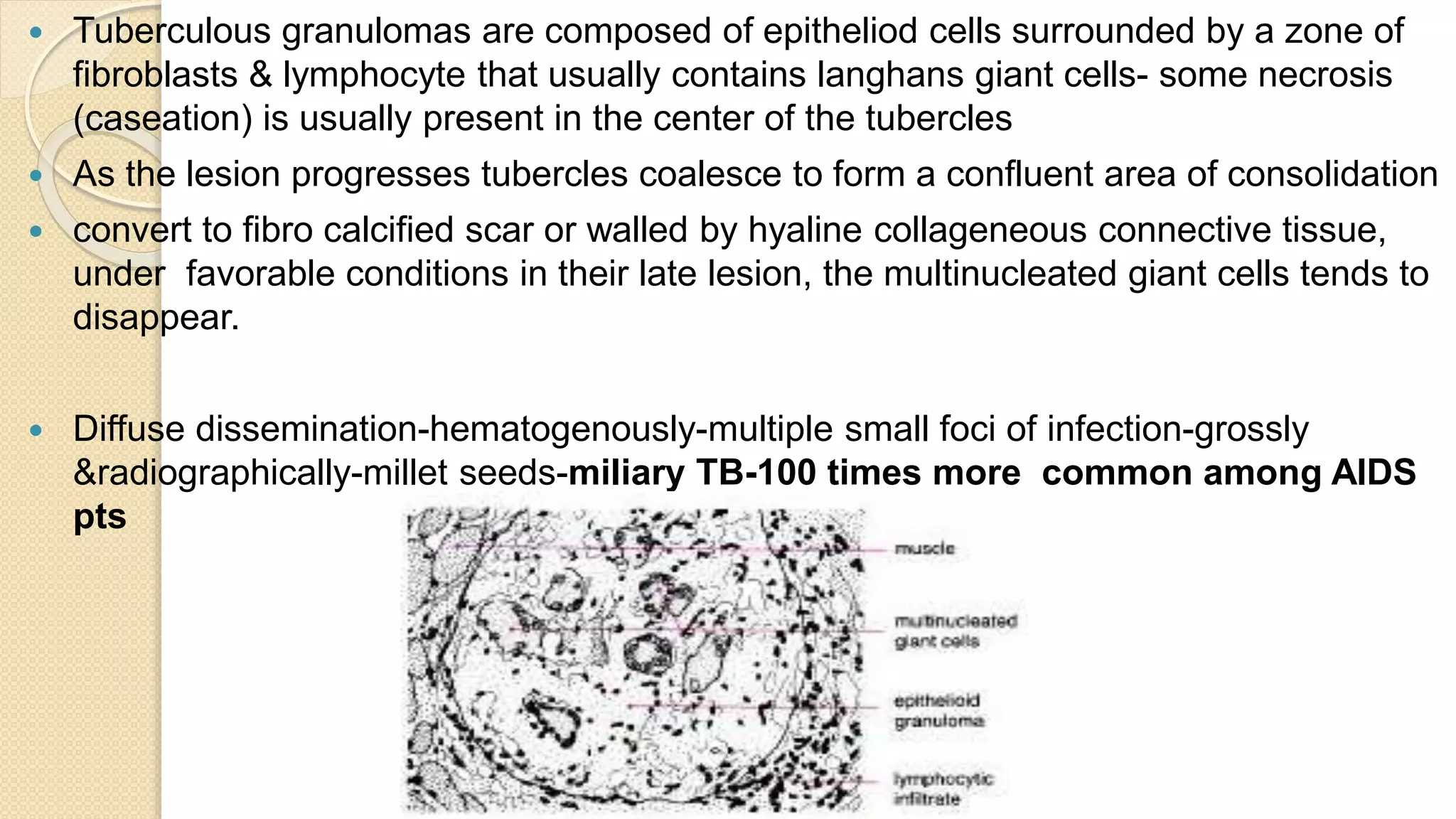 Granulomatous diseases of the head & neck | PPTX