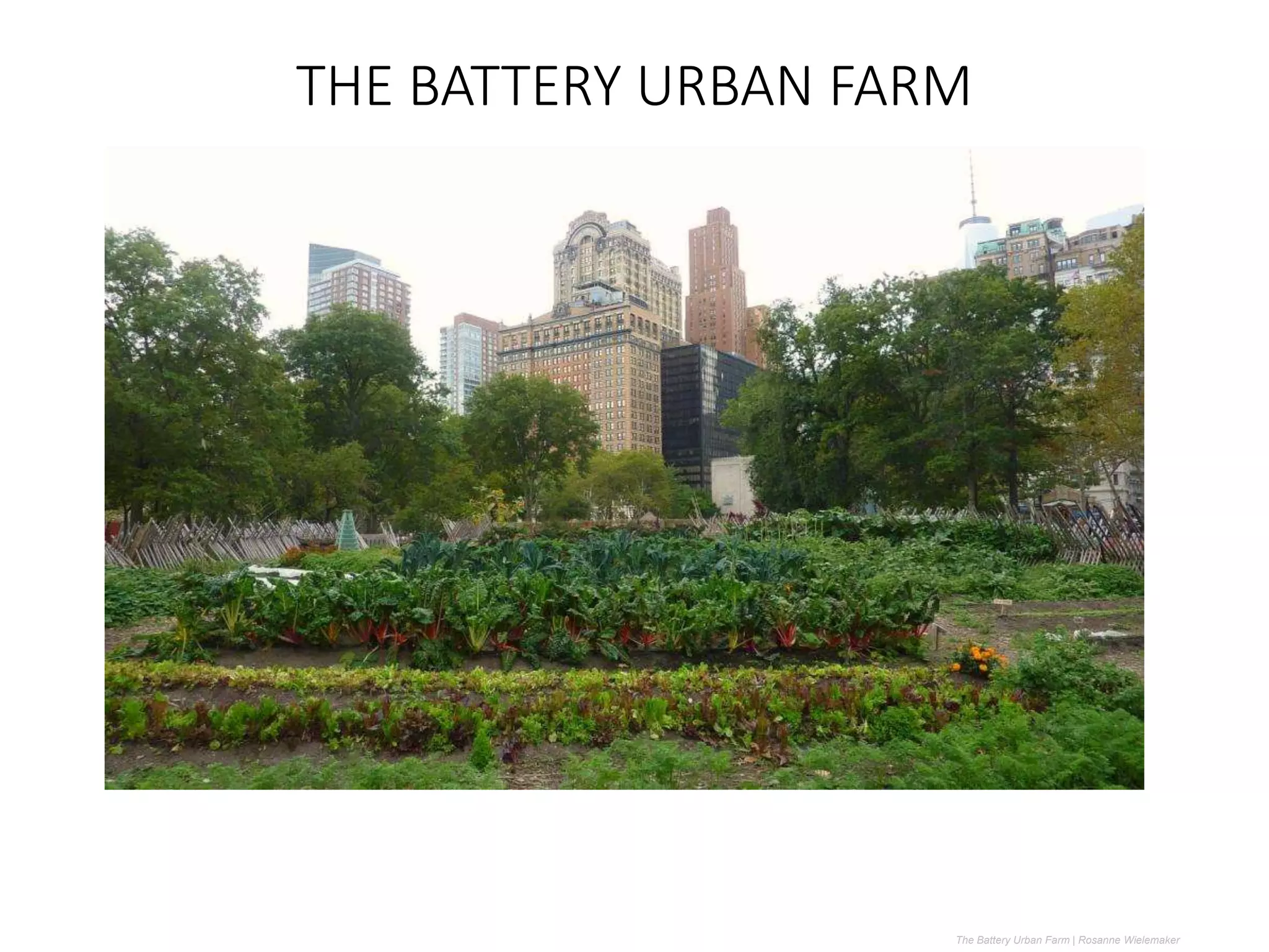 AGRISAN: INTEGRATING URBAN AGRICULTURE AND NEW SANITATION | PPT