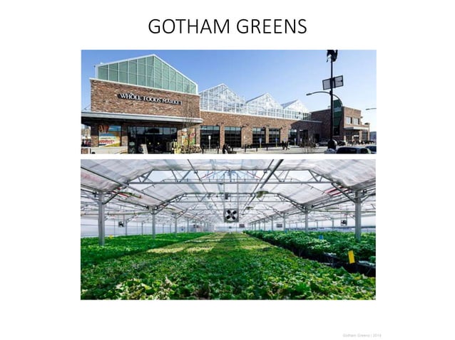 AGRISAN: INTEGRATING URBAN AGRICULTURE AND NEW SANITATION | PPT