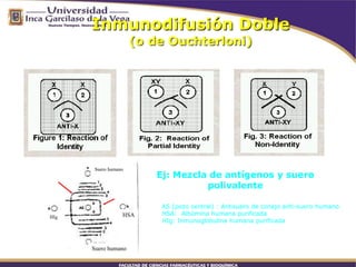 REACCION ANTIGENO-ANTICUERPO (ANALISIS CLINICO) | PPTX