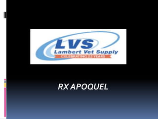 Rx Apoquel | PPT