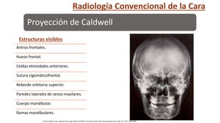Radiografia convencional de la cara | PPTX