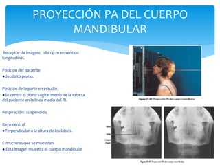 Rx de mandibula | PPTX