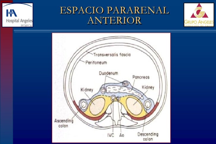Radiologia e Imagen retroperitoneal