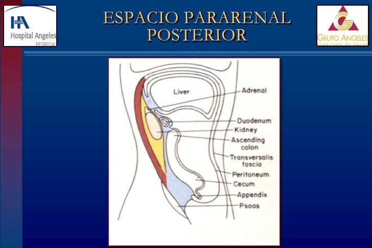 Radiologia e Imagen retroperitoneal