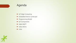 Internet of Things: Programming on the edge | PPTX