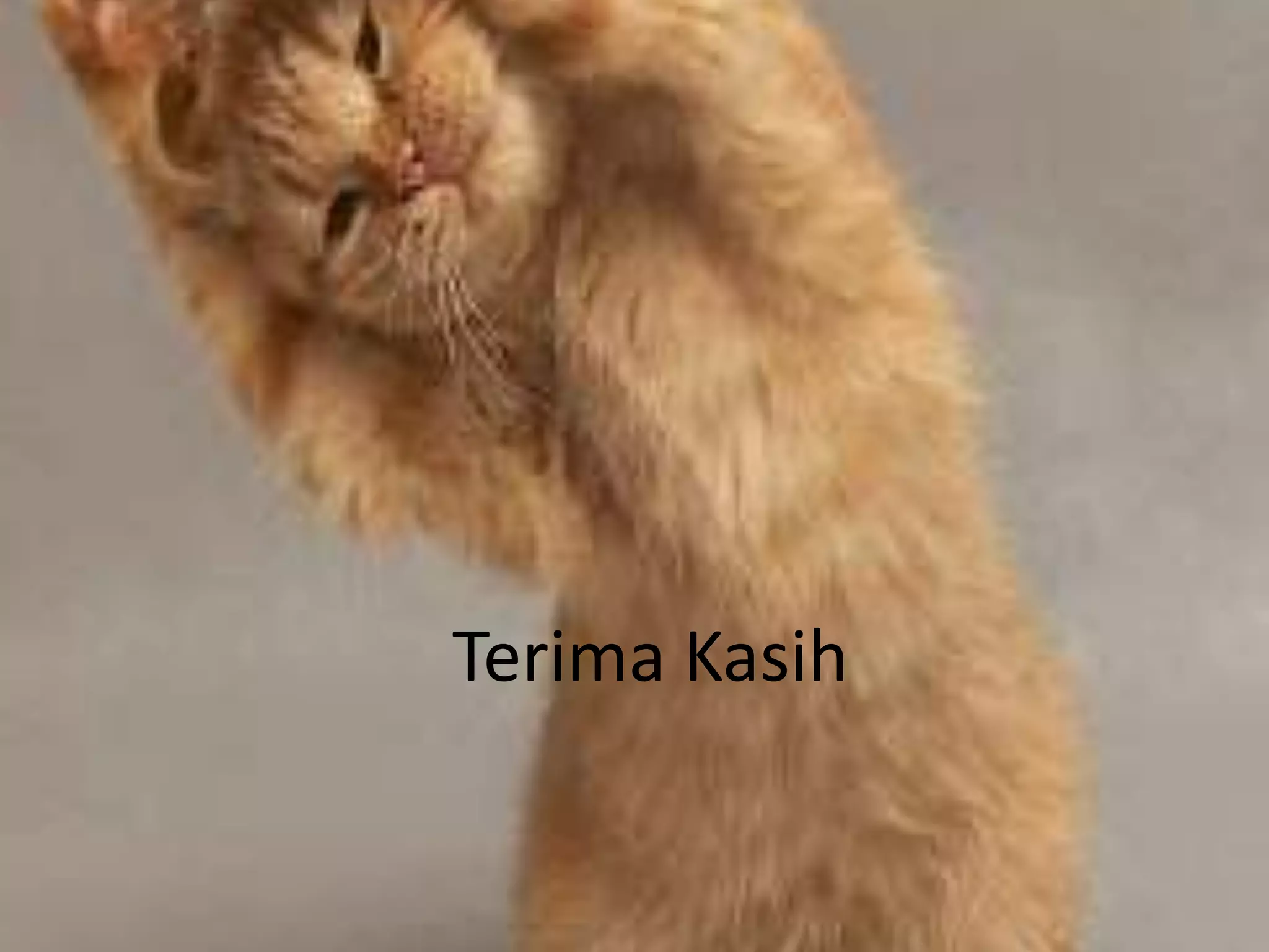 Foto kegiatan Sentra Alam | PPTX