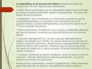 Radiografia normal de torax | PPT