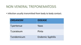 Treatment of syphilis | PPT