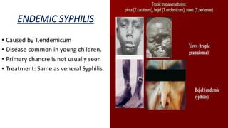 Treatment of syphilis | PPT