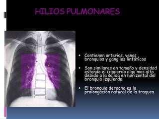 RX TÓRAX.ppt