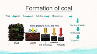 Coal | PPTX