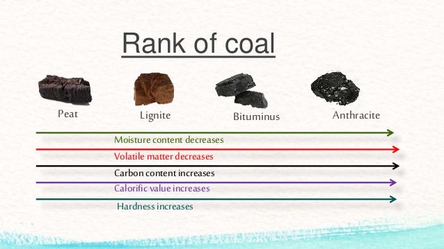 Coal