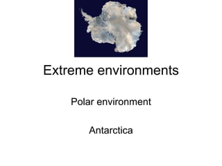 Ryan wembridge polar enviroment.ppt | Polar Travel | Travel Locations