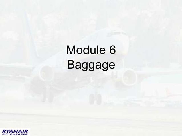 Modul 6 - Baggage | PPTX