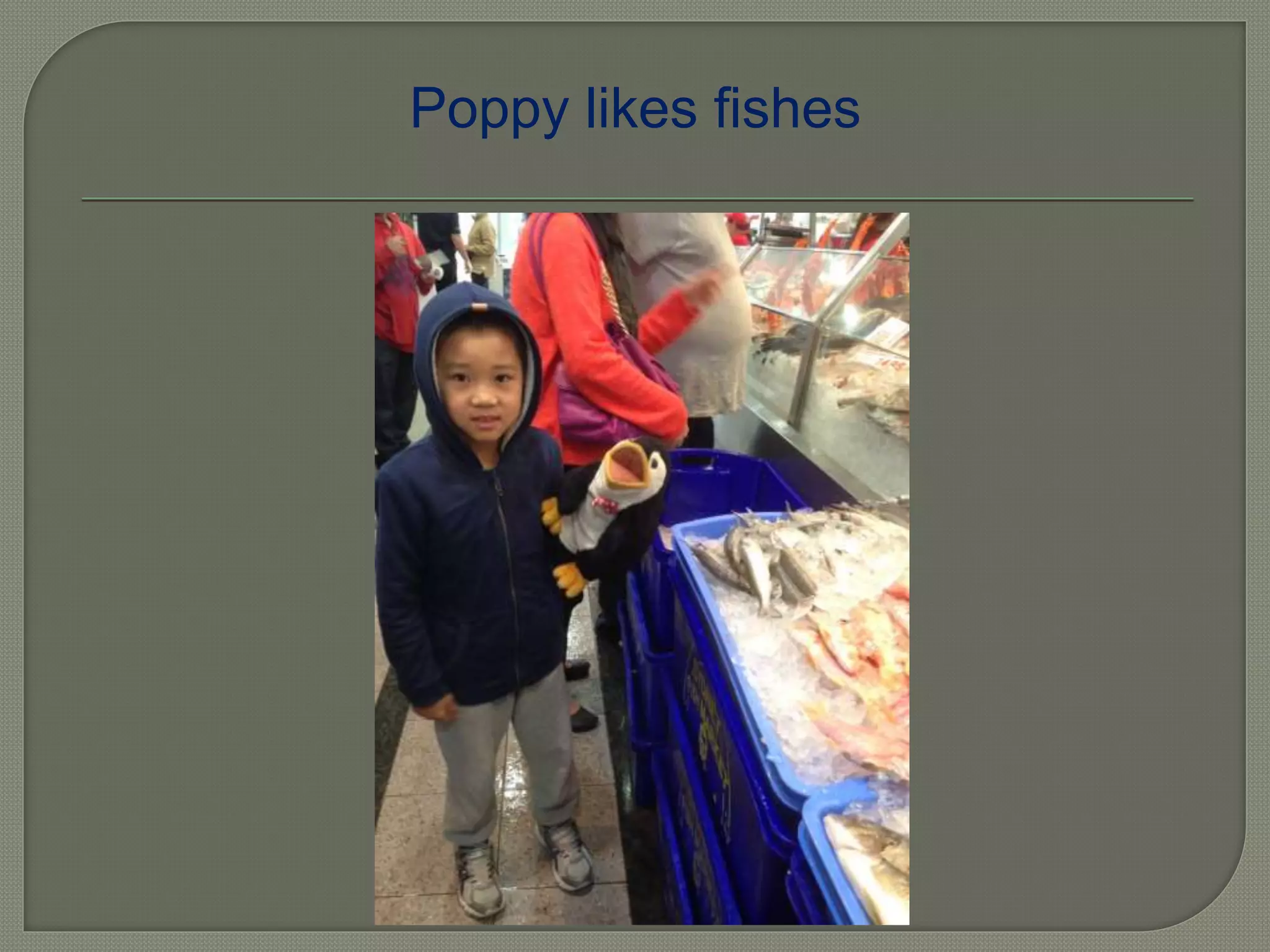 Ryan and poppy | PPTX